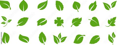 Collection Of Green Leafs Vector Illustration Eps 10 Stock Vector