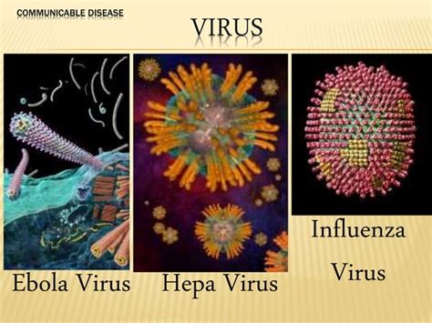 Types Of Pathogen Mapeh 8 Health Ppt Infectious Diseases