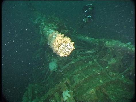 The Wreck Of U Boat 89 The U Boat Hunter Dr Innes Mccartney Takes Us