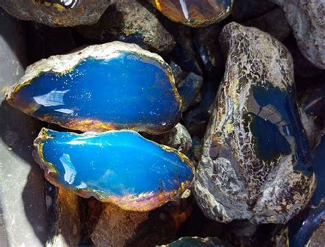 Blue Amber Museum Amber For Sale Blueamberdominican Com