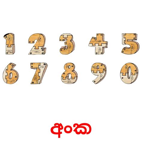 36 Free Sinhala School Flashcards Pdf