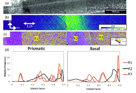 Comparison Of The Optical Image Strain Map And An Ebsd Maps Across A Download Scientific