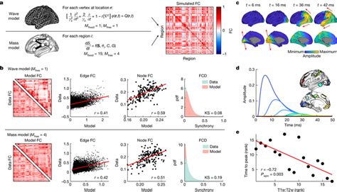 Wave Dynamics Shape Patterns Of Spontaneous And Stimulus Evoked