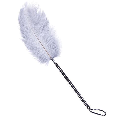 Feather Whip Fetish Erotic Spanking Paddle Flirt Adult Game Sexual Toys