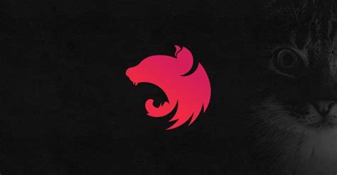 【nest】2 Nest 应用目录结构和脚手架命令 知乎