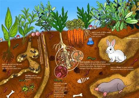 Shreya Rachapudi On Linkedin Lifebelowthesurface Underground