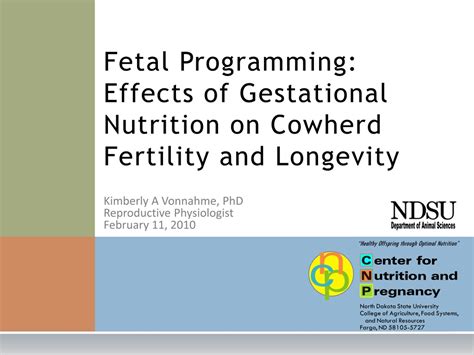Ppt Fetal Programming Effects Of Gestational Nutrition On Cowherd Fertility And Longevity