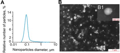 Size And Morphology Of Selenium Nanoparticles Obtained By Laser Download Scientific Diagram