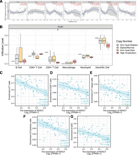 Comprehensive Analysis Of Hdac7 Expression And Its Prognostic Value In Diffuse Large B Cell