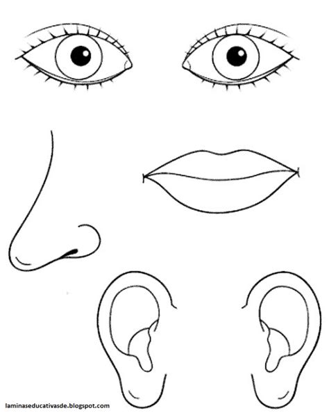 Dibujos De Los Cinco Sentidos Para Colorear Imagui