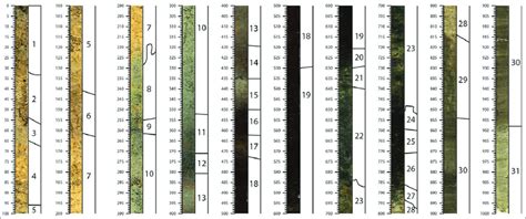 Forage Begemann B11 Download Scientific Diagram