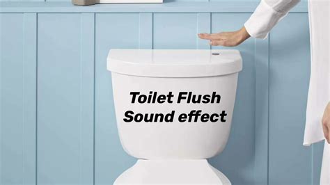 Toilet Flush Sound Effect Youtube