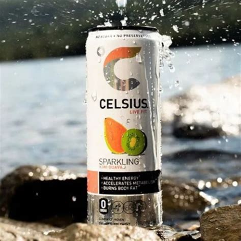 Celsius Assorted Flavors Official Variety Pack Functional Essential