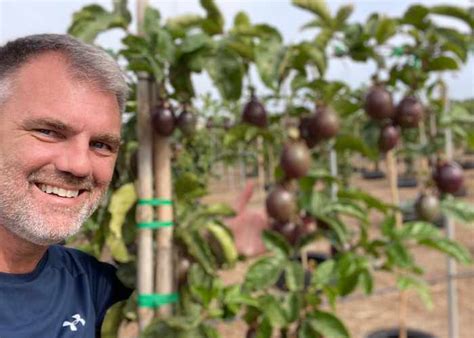 Passionsfrukt Eko 2kg