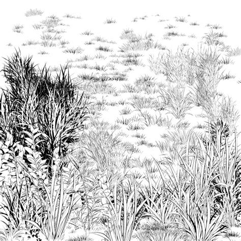 Grass Manga Materials