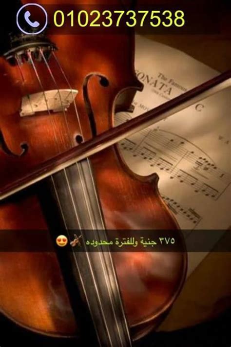 دلوقتي كورس الكمان طول فترة الصيف أكاديمية الموسيقي