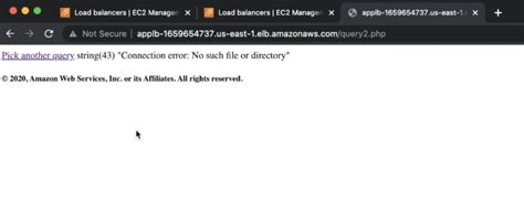 Github Sophiedodsonxcapstone Project