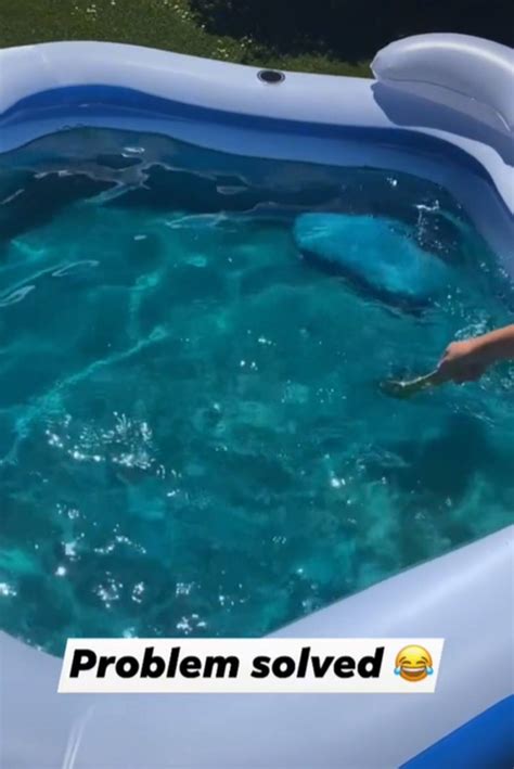Tiktok Video Shows How To Transform Paddling Pool With Food Colouring