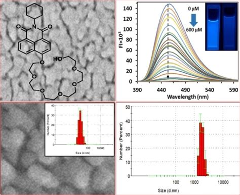 Pseudo‐crown Ether‐based Host For The Recognition Of Pd2 And Fe3 Ions