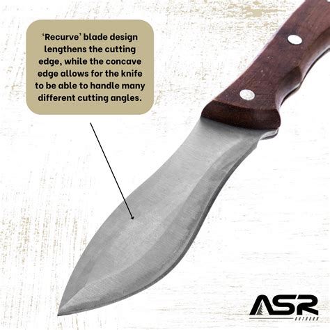 9 Inch Recurve Full Tang Fixed Blade Knife Asr Outdoor