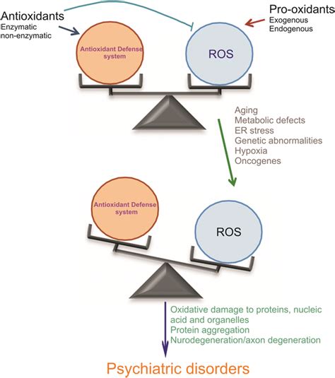 Role Of Imbalanced Ros Production In Psychiatric Disorders In Normal