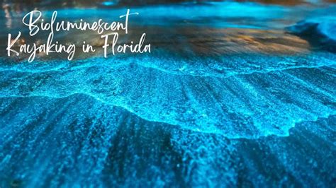 Bioluminescent Kayaking In Florida Top Spots