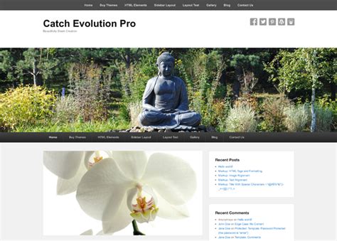 Catch Evolution Pro Clean And Responsive Premium Wordpress Themes