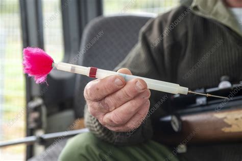 Tranquilizer Darts