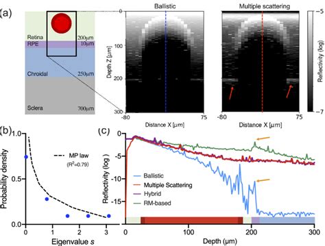 validation of rm based method using mc simulation a schematic