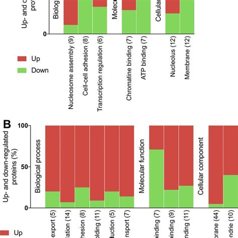 Functional Clustering And Network Analysis Of Proteins Modulated During Download Scientific
