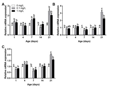 Effects Of Exposure To Different Concentrations Of The Nanoplastic On