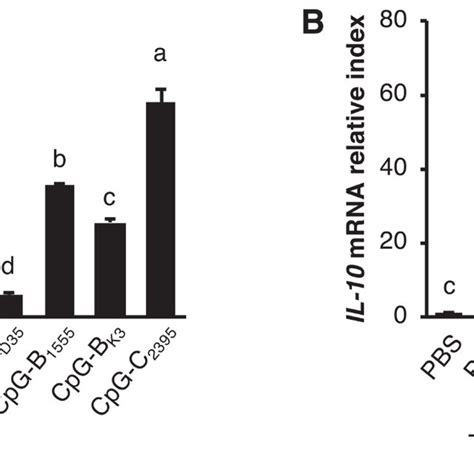 Nucleotide Sequences Of Primers Used In Quantitative Reverse