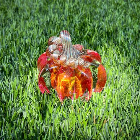 Ruby Mini Pumpkin Jfr Glass