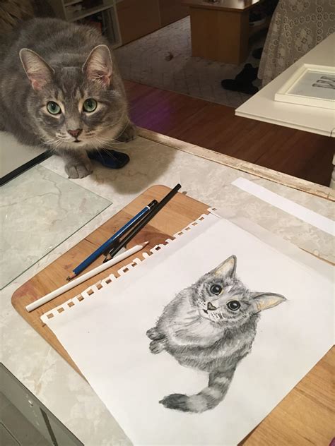 350 Best Meet Ruby Images On Pholder Aww Rwby And Buildabear