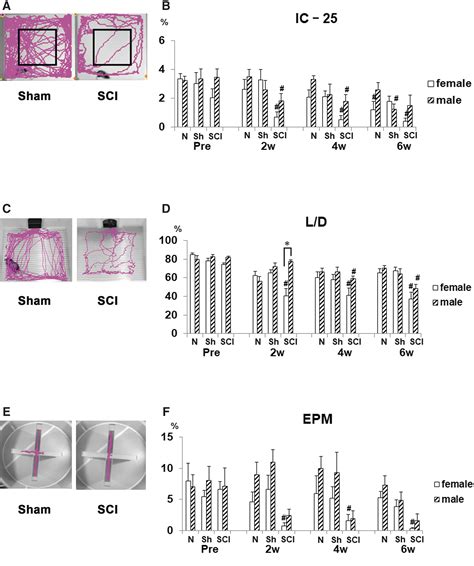 Sex Related Differences In Anxiety And Functional Recovery After Spinal