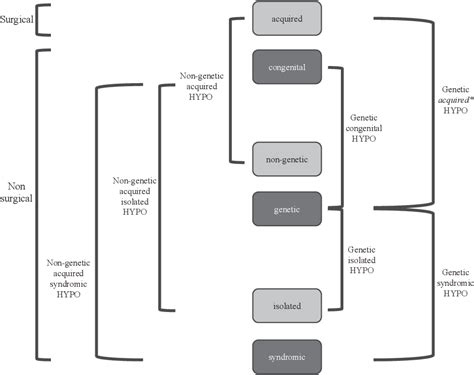 Figure 1 From Causes And Pathophysiology Of Hypoparathyroidism