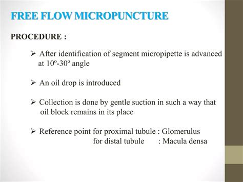 Diuretics Screening Models Pptx
