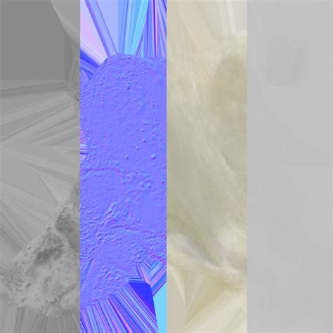 Domestic Cat Calcaneus Bone 01 3d Model Turbosquid 1828880