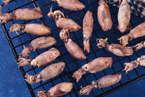 海兔图片素材 海兔设计素材 海兔摄影作品 海兔源文件下载 海兔图片素材下载 海兔背景素材 海兔模板下载 搜索中心