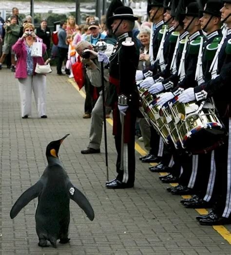 11 Pictures That Will Make You Question Everything