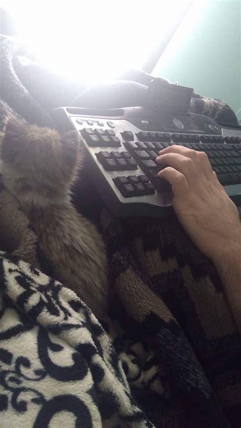 Meet Braggi Album On Imgur