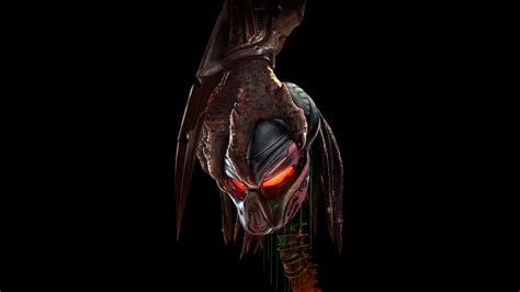 Predator Wallpaper 81 Images