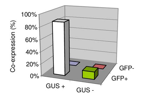 B Co Expression Of Pgreen And Psoup Transgenes When Only Pgreen Download Scientific Diagram