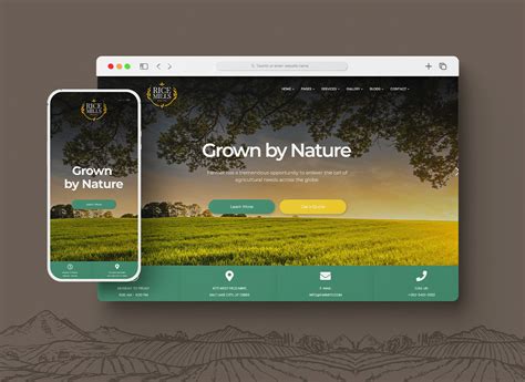 Agriculture Rice Logo Design Images Behance