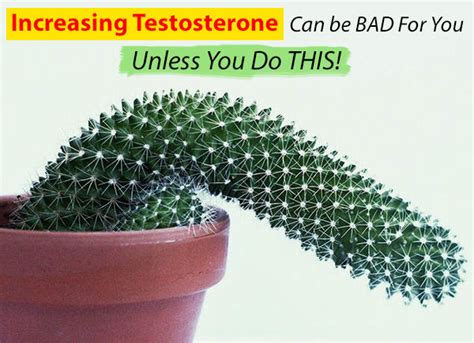 Why Increasing Testosterone Can Be Bad For You Unless You Do This