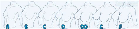 Breast Size Comparison Pictures