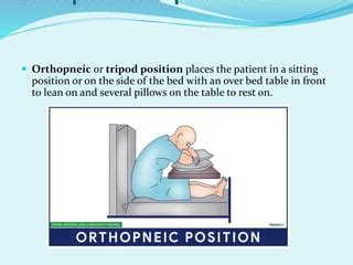 Position Used In Hospital For Various Procedure Ppt Pptx