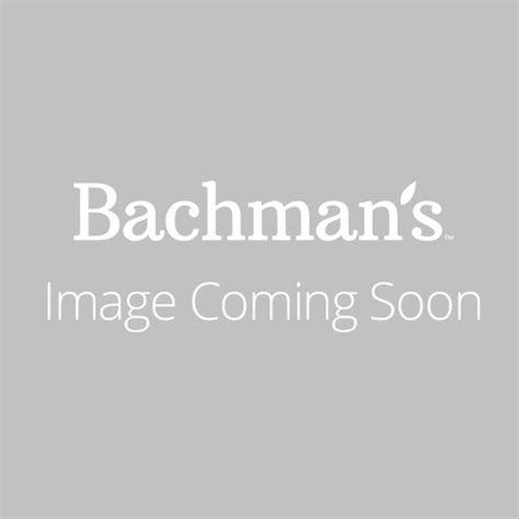 Juniper Taylor 5 Bandb