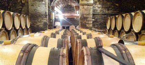 Visite Amicale Chez Pascal Mugneret In Vino Veritas