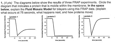 Solved 1 4 Pts The Diagrams Below Show The Results Of